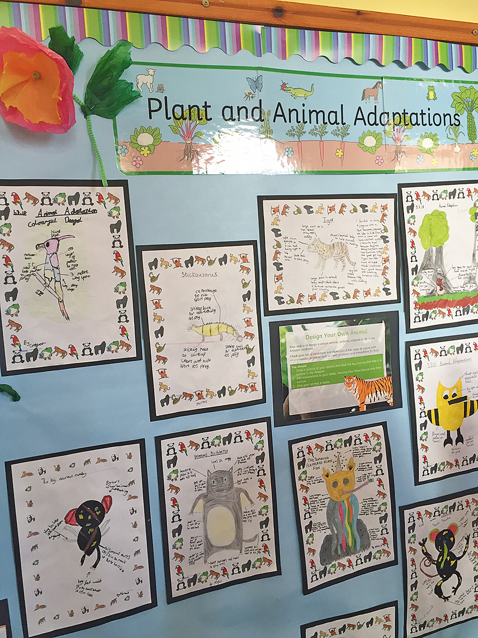 Plant and Animal Adaptation in P 5/6 – The Wee Vine