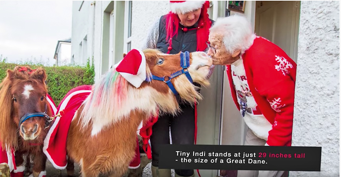 Surprised Bunty got a visit from Indi and Fitz… dressed in Santa suits ...